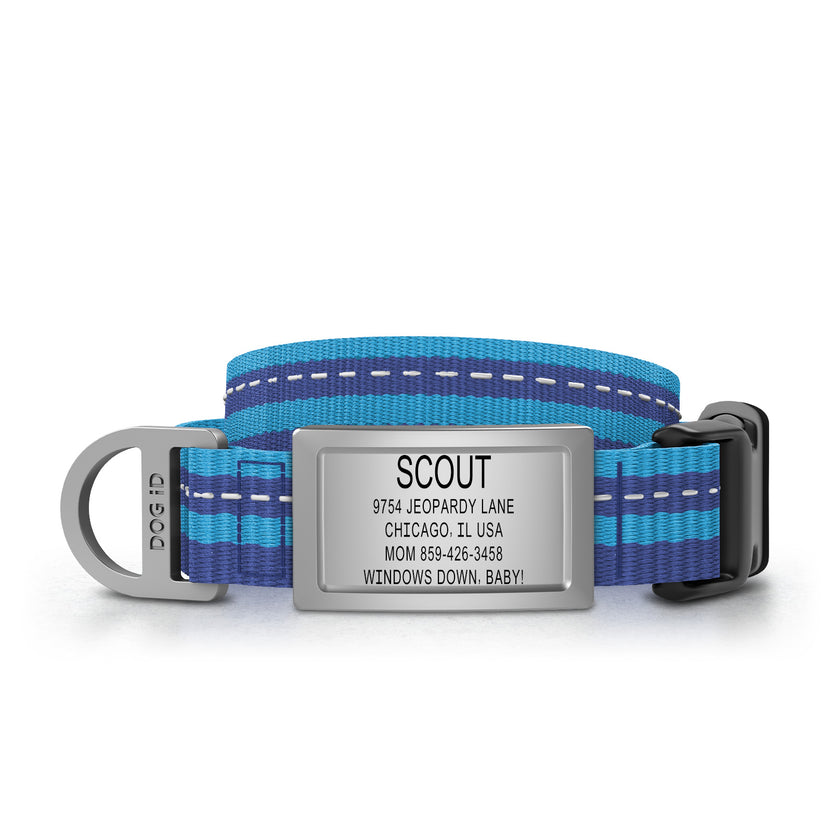 The Rock Solid Dog Collar with ID Tag | Dog iD