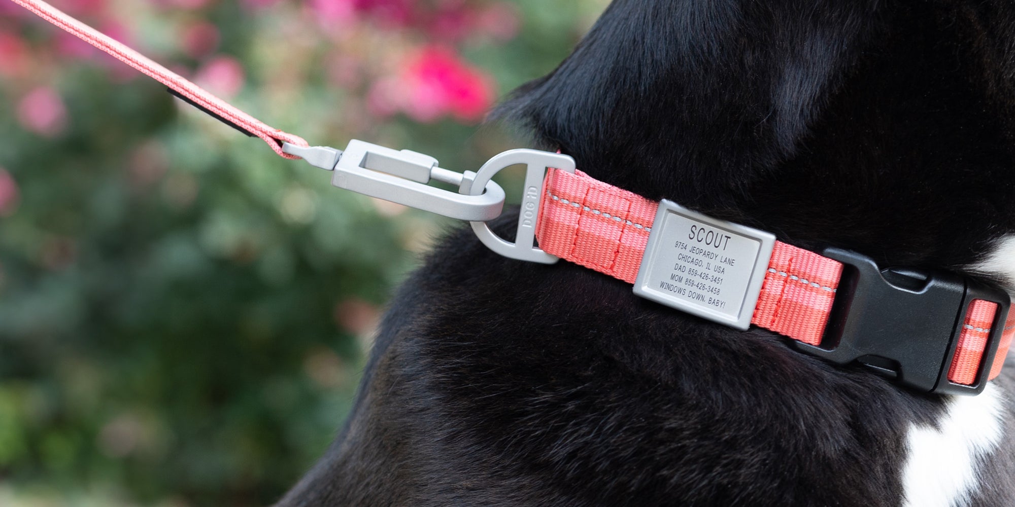 DOG iD: Dog Gear that Works