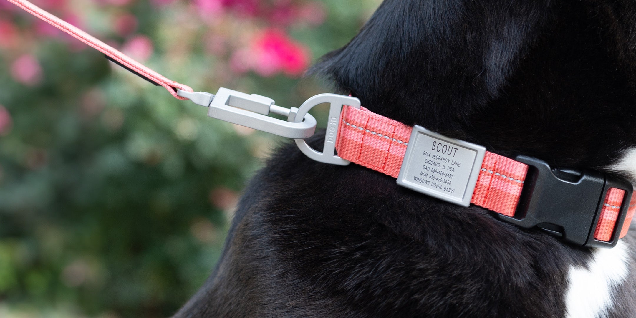 DOG iD: Dog Gear that Works