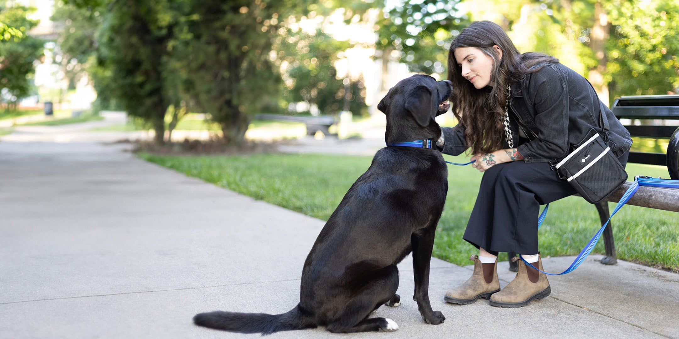 DOG iD: Dog Gear that Works