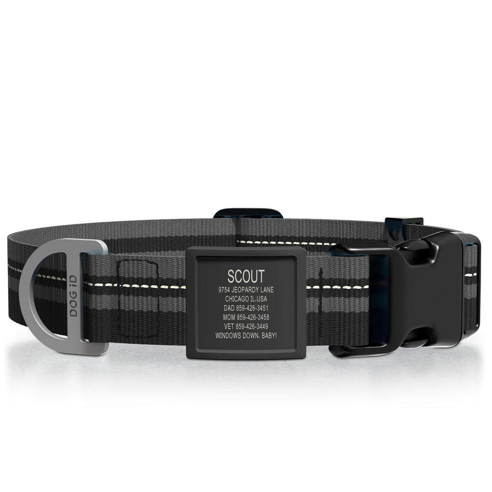 The Dog ID Collar 2| Dog iD