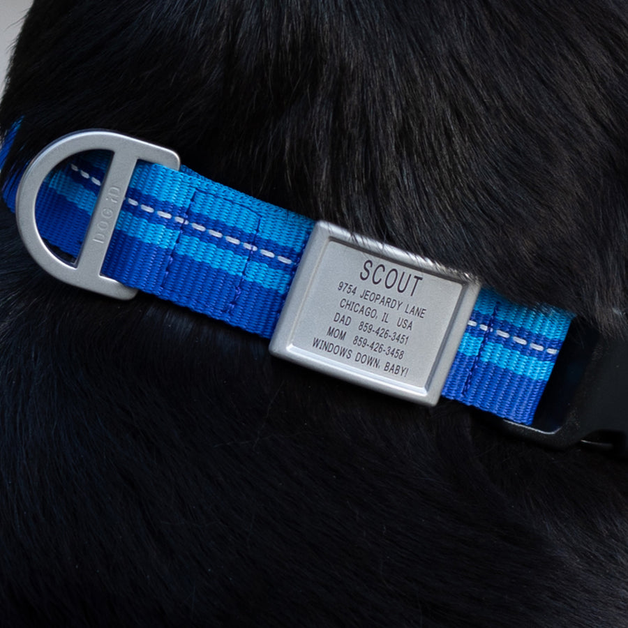 Dog iD - Custom Dog ID Tag Plate for Collars