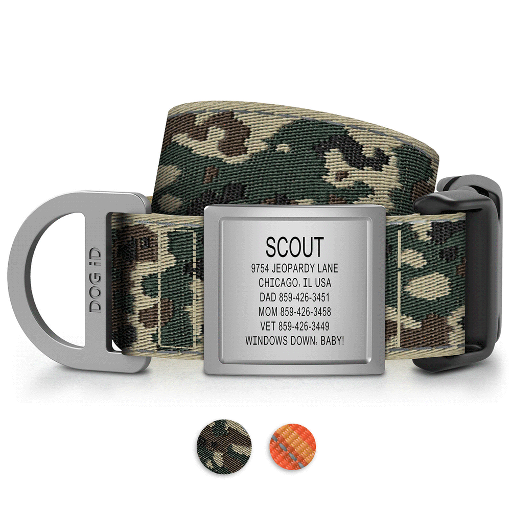 Hunting Dog Collection | DOGiD