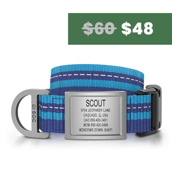 The Dog ID Collar 2| Dog iD