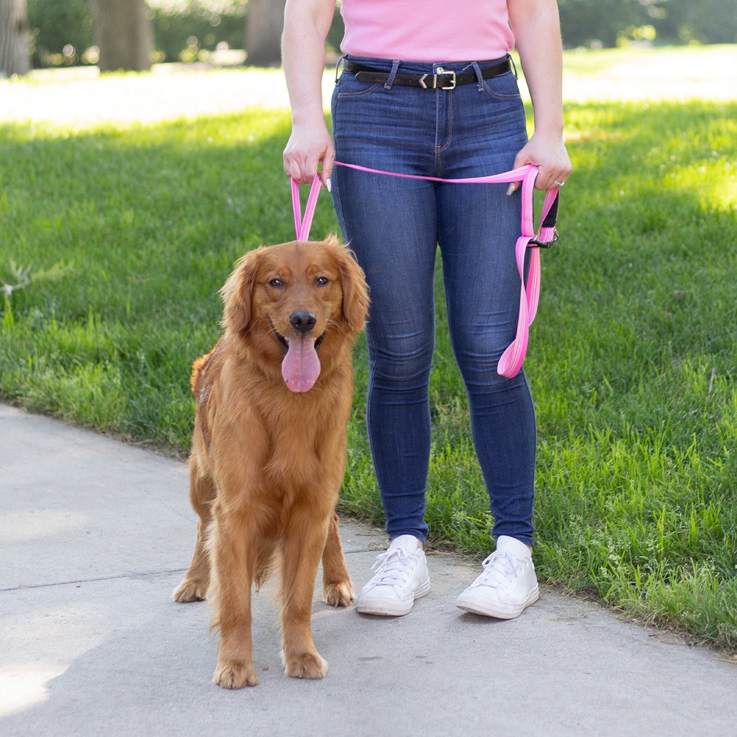 Legendary Leash - Hands Free, Lasts Fur-ever