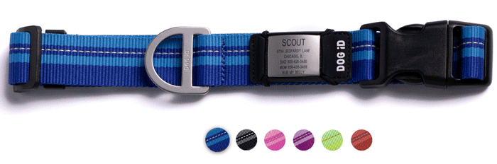 DOG iD: Em-bark on Adventure