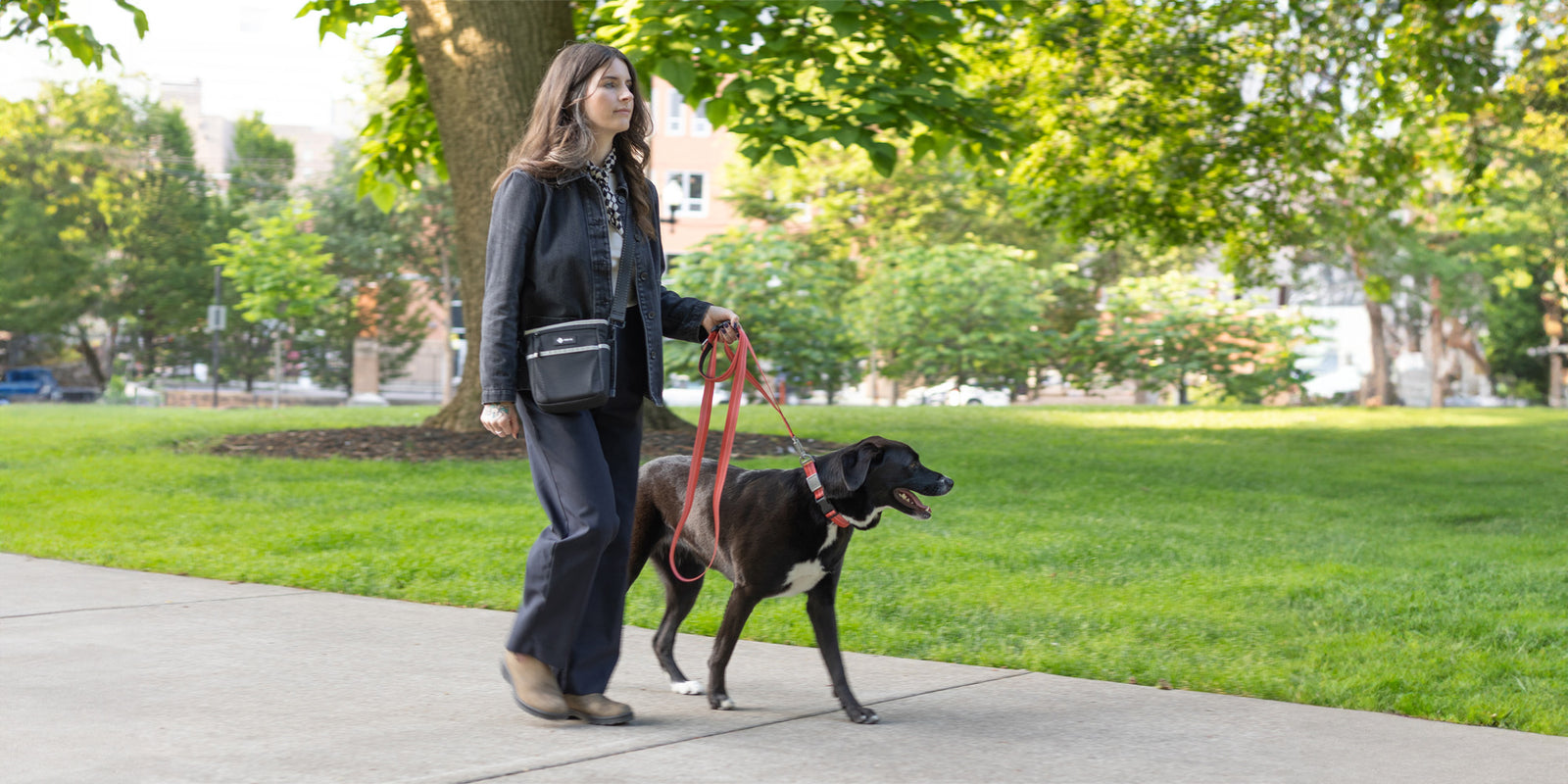 DOG iD: Dog Gear that Works