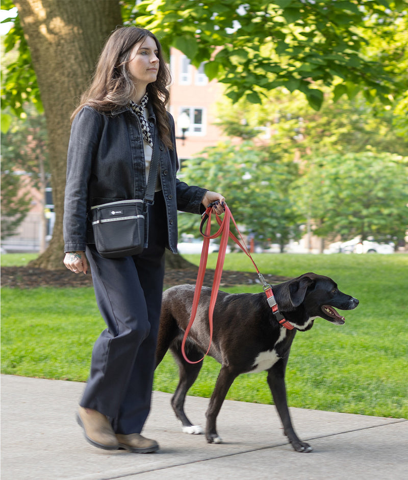 DOG iD: Dog Gear that Works