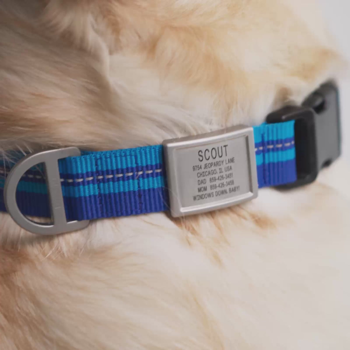 Dog iD - Custom Dog ID Tag Plate for Collars